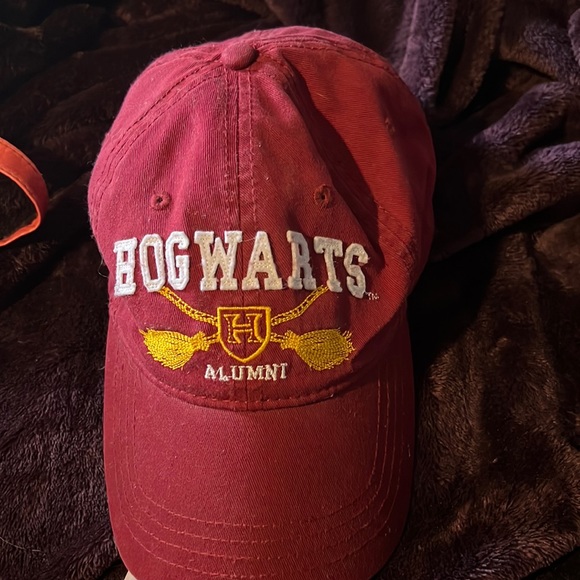 Warner Bros. | Accessories | Hogwarts Alumni Red Hat | Poshmark